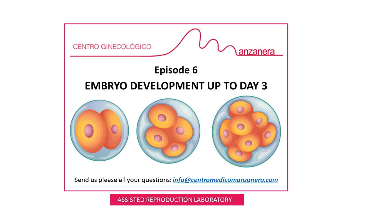 EPISODE 6. EMBRYO DEVELOPMENT UP TO DAY 3 | Centro Médico Manzanera