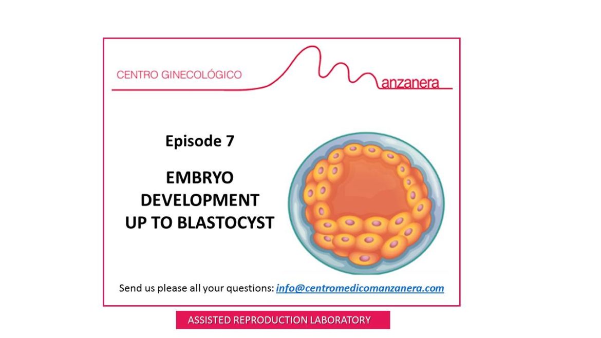 EPISODE 7. EMBRYO DEVELOPMENT UP TO BLASTOCYST (5th day) - Centro ...