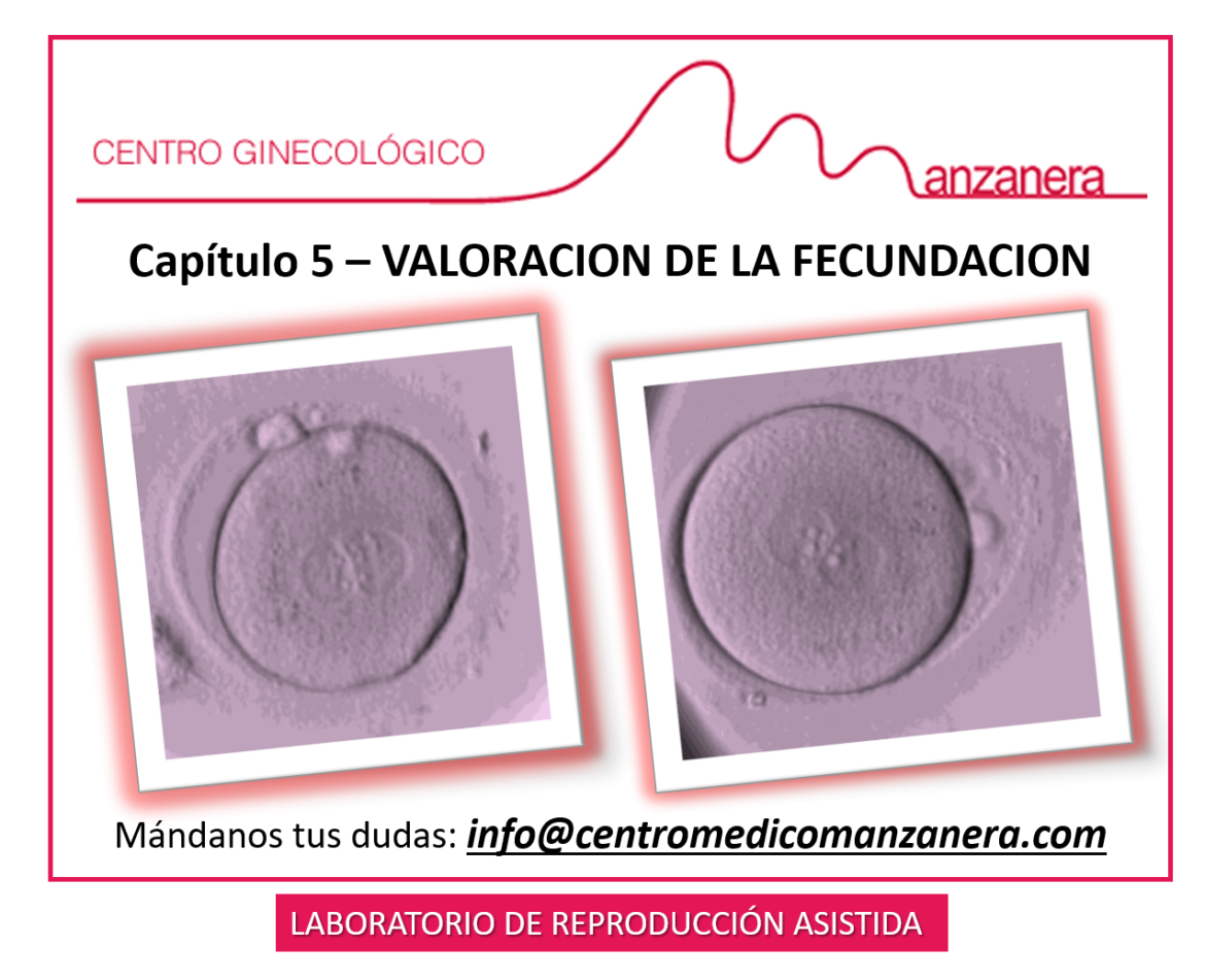 CAPITULO 5. VALORACION DE LA FECUNDACION EN LOS TRATAMIENTOS DE ...