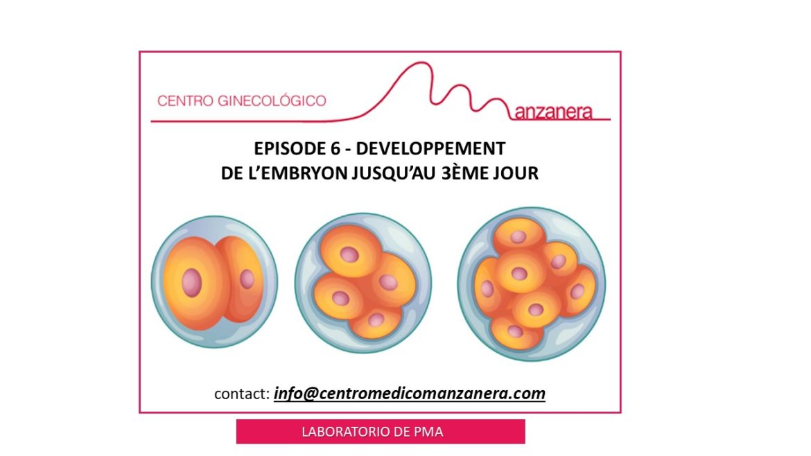 EPISODE 6. DEVELOPPEMENT DE L’EMBRYON JUSQU’AU 3ÈME JOUR EN PMA ...